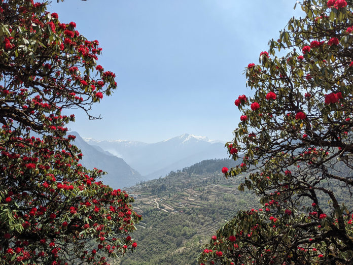 Visiting the Indian Himalayas in Raithal Village