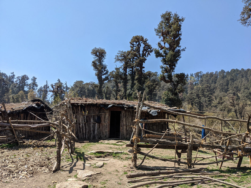 Visiting the Indian Himalayas in Raithal Village