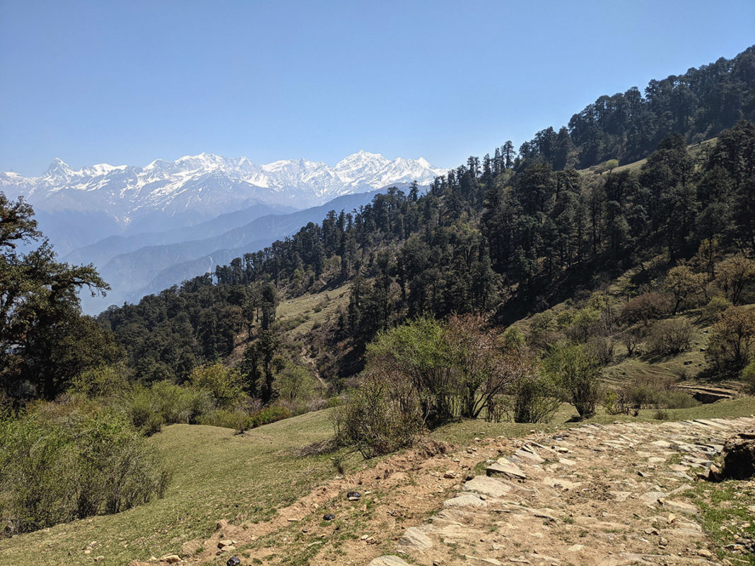 Visiting the Indian Himalayas in Raithal Village