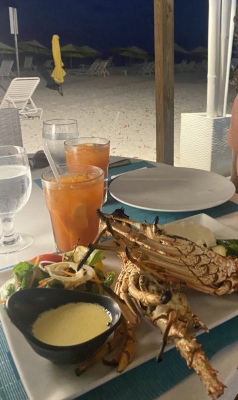 A "brief" guide to Zemi Beach House and Anguilla