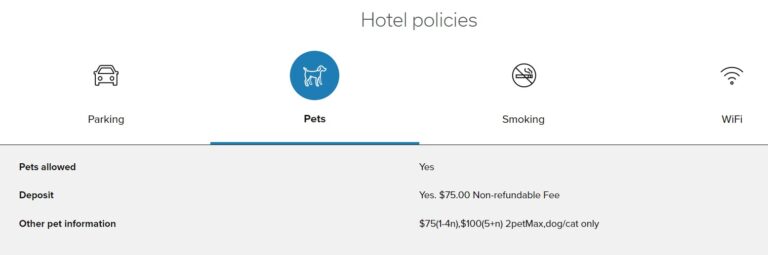 Traveling with pets: Hotel pet policies, tips & more