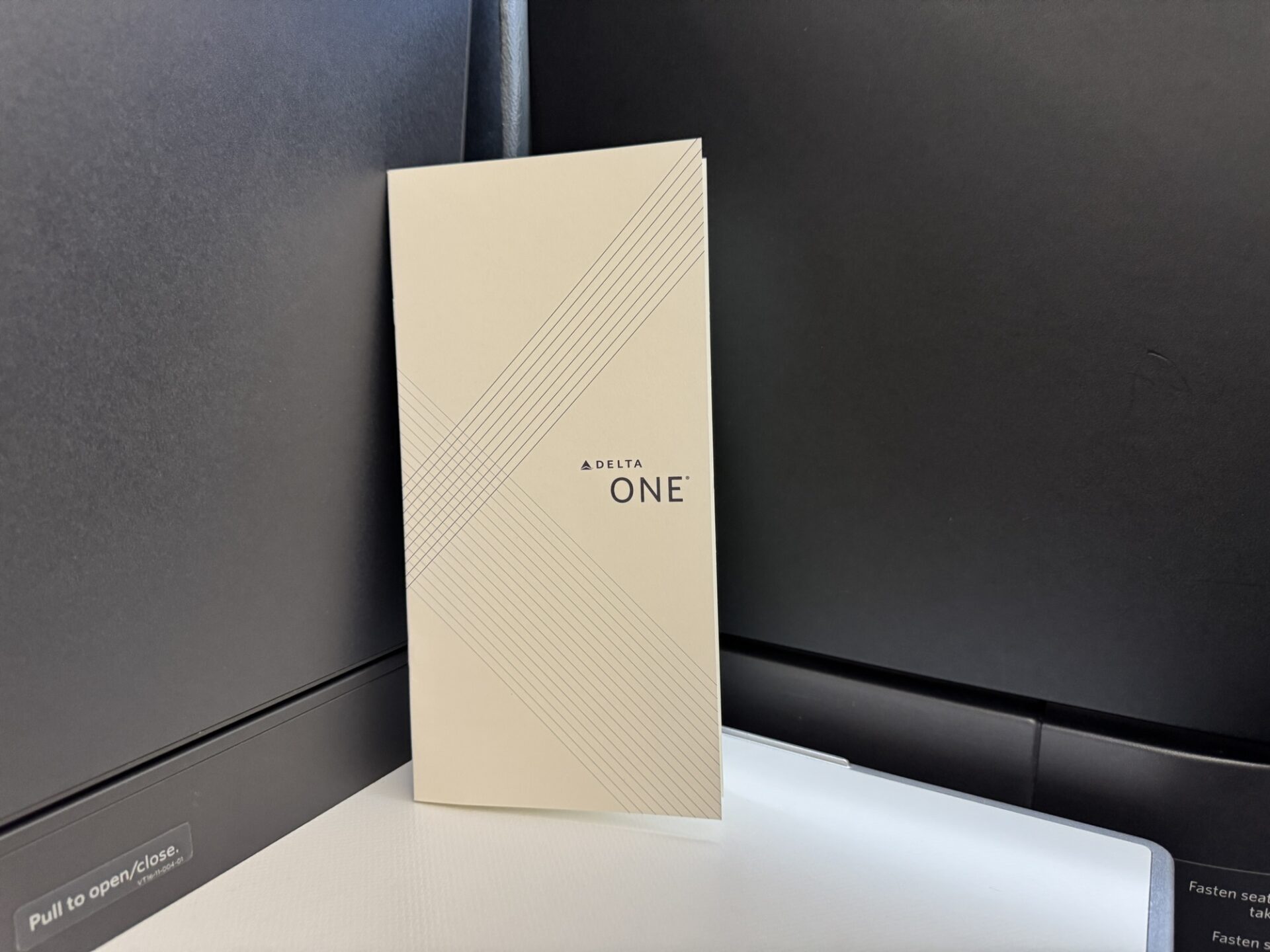 Delta One Suites Re-review. Detroit to Seoul and back