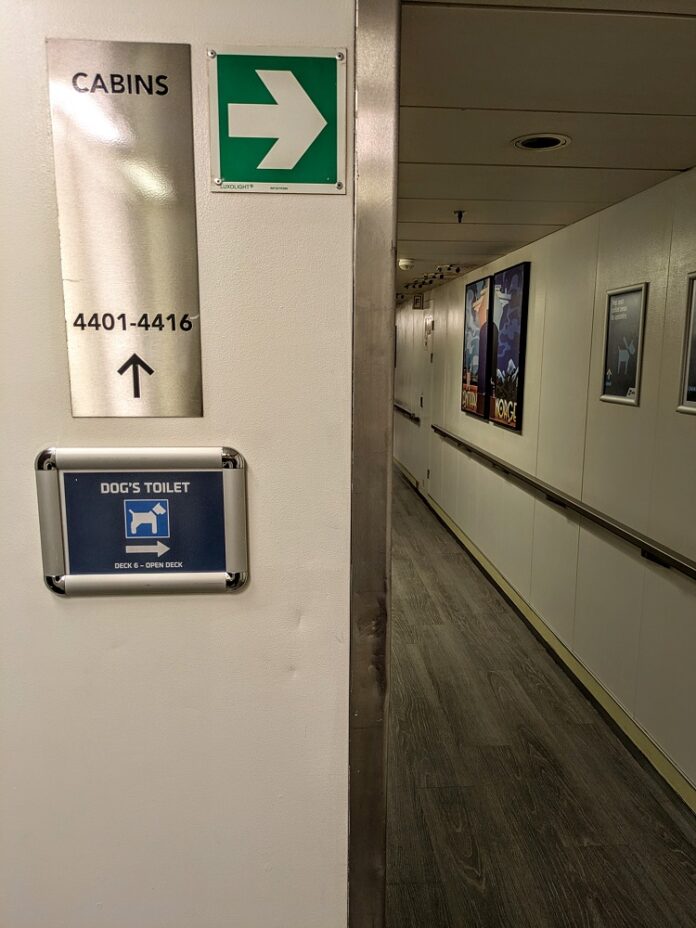 DFDS ferry review: Amsterdam (IJmuiden) to Newcastle in a 4 bed pet ...