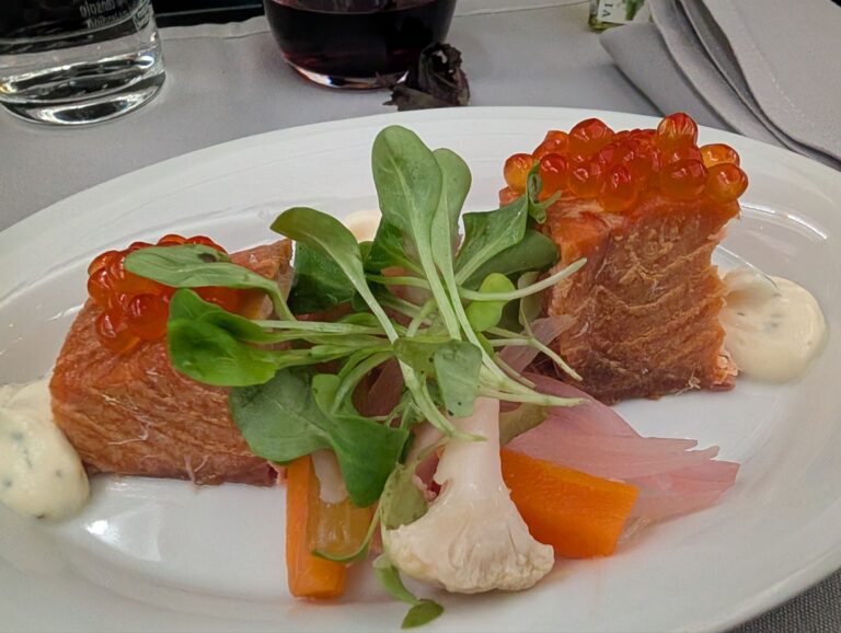 SAS Business Class, A330 from Newark (EWR) to Copenhagen (CPH): Bottom ...